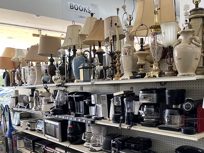 Lamp department or genie bottle storage? Each one promises to illuminate your space without the three-wish limitation. Vintage charm with modern wiring.