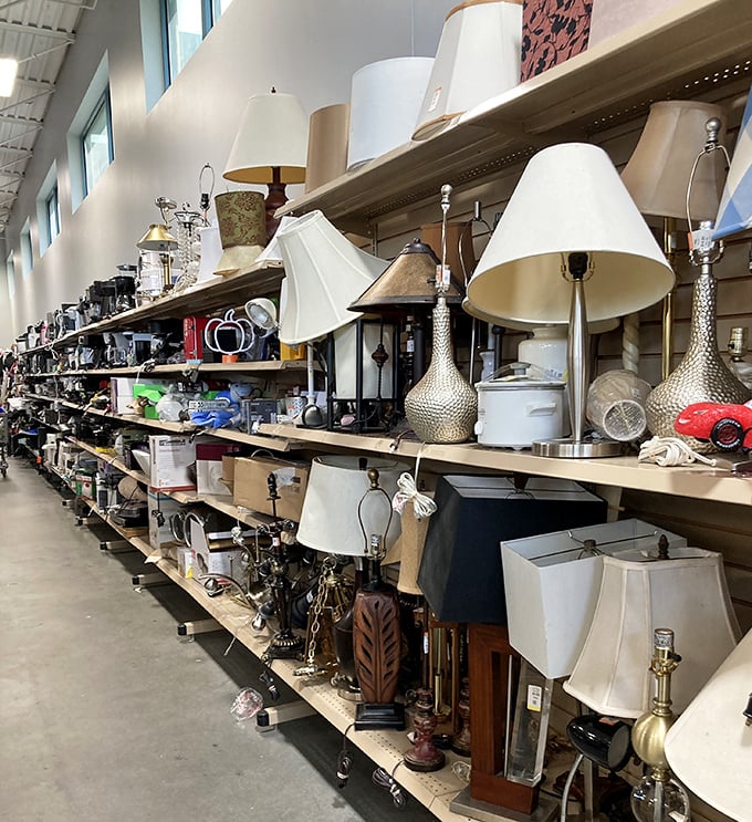 A forest of lamps stands ready to illuminate Florida homes, from kitschy conversation pieces to elegant statement lighting.