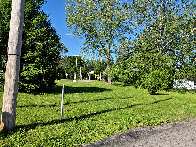 Surrounding greenspace offers the perfect vantage point, proving that sometimes the best view isn't on the attraction but of it.