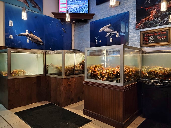 Pick your lobster like it's The Bachelor, except everyone goes home happy in this scenario.