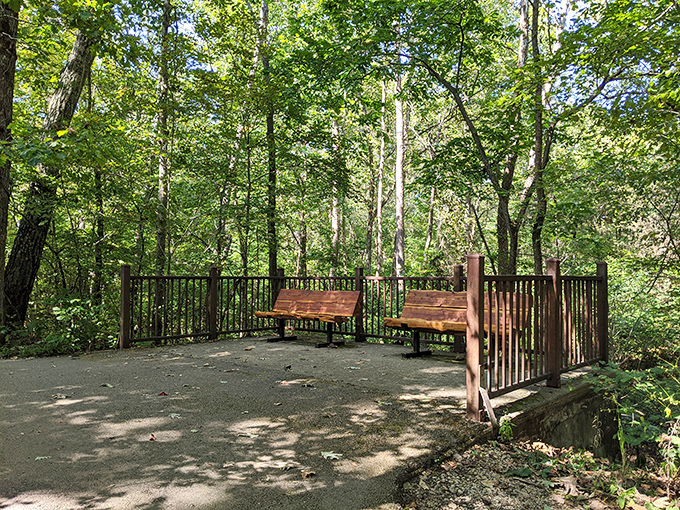 A peaceful overlook where time slows down and the only notification you'll check is the changing light on the water.