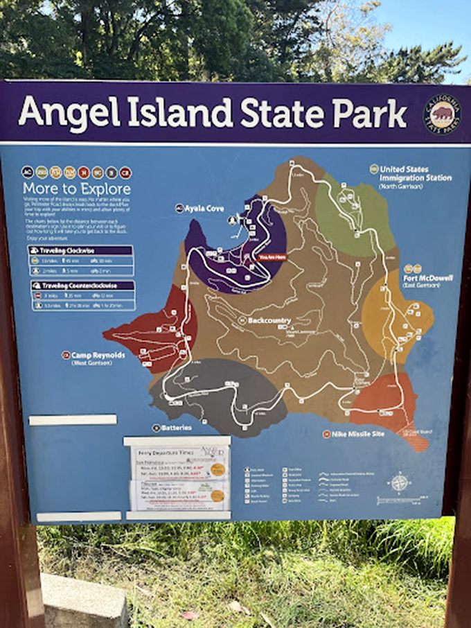 The island map reveals a wonderland of possibilities &ndash; like a treasure map where X marks several spots, all worth discovering.