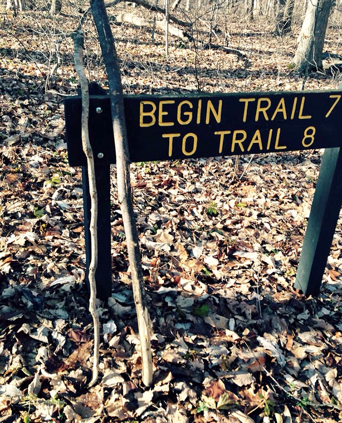 Trail markers: the original GPS system for hikers who prefer their directions without that judgmental "recalculating" voice.