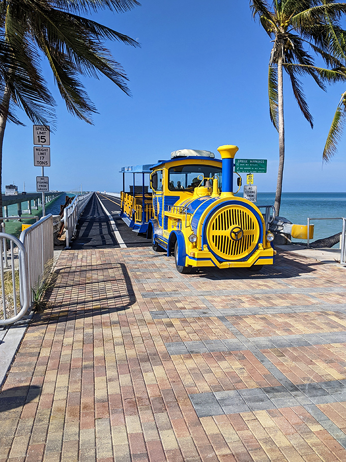 All aboard the nostalgia express! This cheerful yellow train offers tours of Old Seven for those who prefer their sightseeing with a side of whimsy.