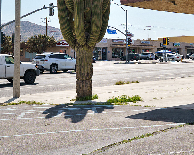 Small-town charm meets desert skies. Even traffic lights look more appealing against that impossibly blue backdrop &ndash; a daily reminder that you're not in the big city anymore.