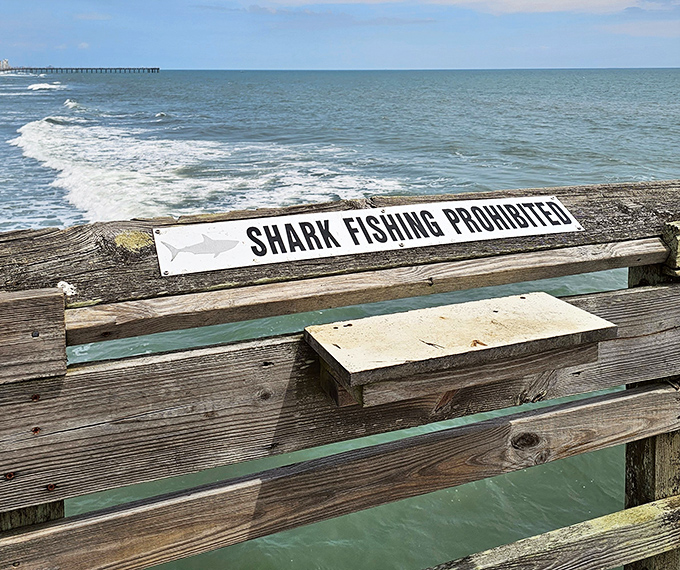 Shark fishing prohibited – a gentle reminder that some locals prefer not to be disturbed during their underwater commute.