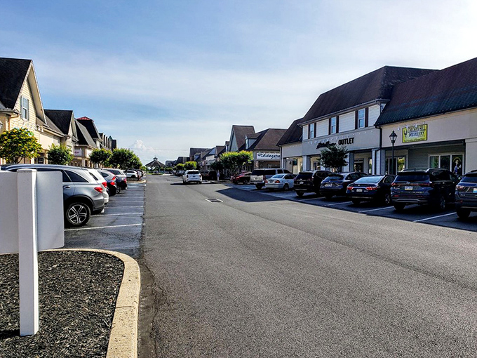 Main thoroughfare designed for maximum shopping efficiency. Wide walkways and organized storefronts make navigating this bargain paradise surprisingly pleasant.