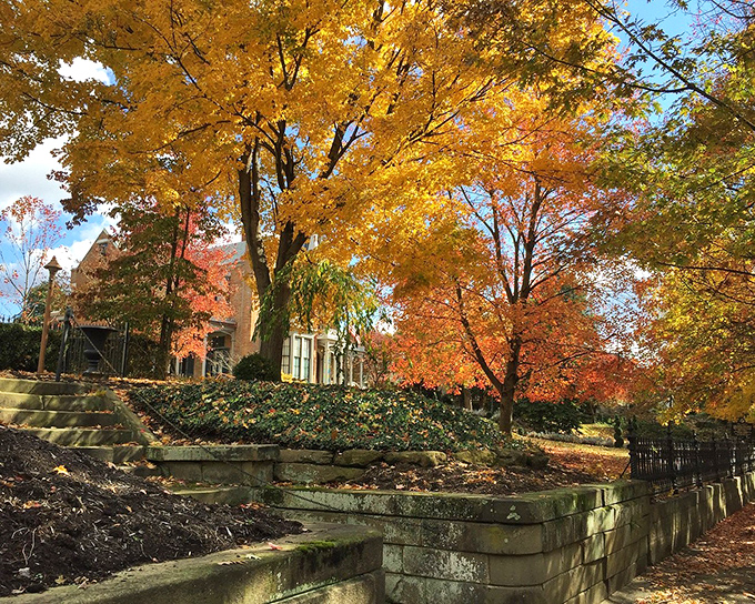 Autumn transforms The Castle grounds into a painter's palette of gold and crimson. Even Mother Nature dresses up to visit this architectural gem.