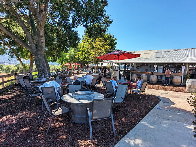 California outdoor dining at its finest. Those wine barrels repurposed as tables remind you that here, wine and food are inseparable companions.