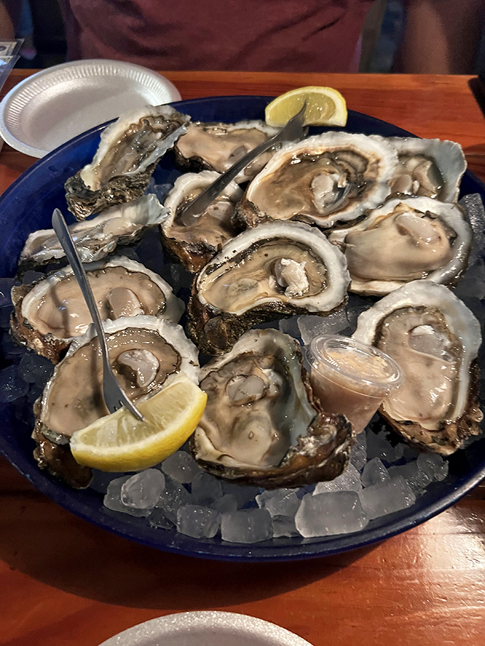 Fresh oysters on ice, glistening like edible pearls that taste of pure ocean happiness.