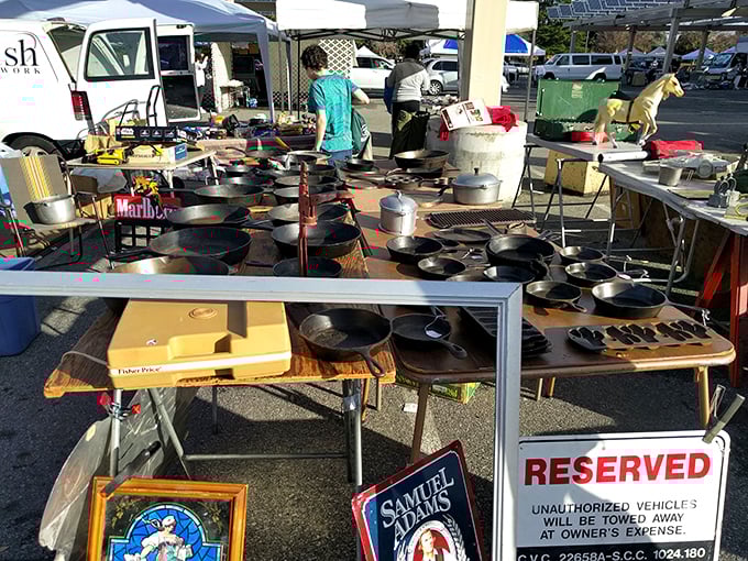 Cast iron storytellers! These seasoned pans have fried countless breakfasts and seared generations of family dinners&mdash;culinary heirlooms awaiting their next kitchen.