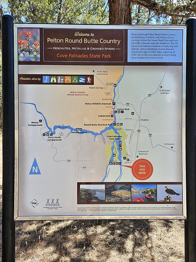 This detailed park map reveals all the hidden treasures waiting to be discovered in this expansive playground of natural wonders.