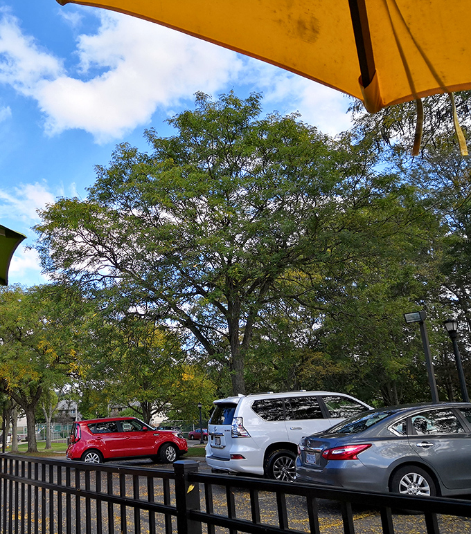 The outdoor view showcases leafy surroundings &ndash; nature's perfect backdrop for post-breakfast digestion contemplation.