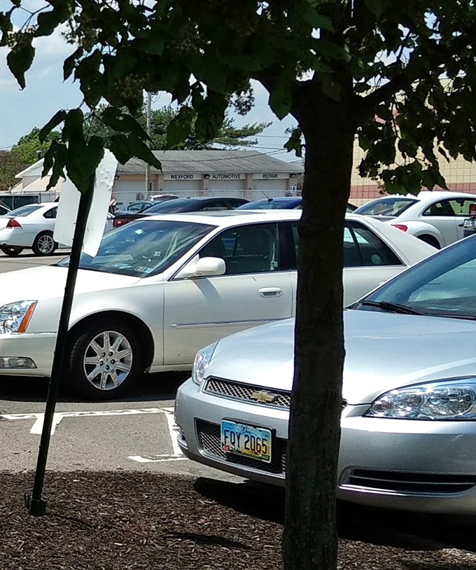 A packed parking lot tells you everything you need to know. When locals consistently show up, you've found the real deal.