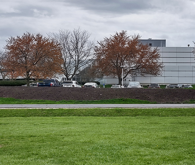 The juxtaposition of corporate buildings behind the field highlights the installation's commentary on suburban development replacing farmland.