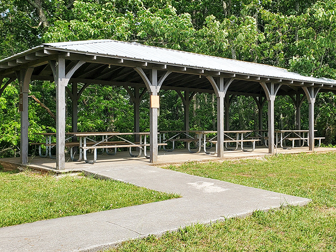 The pavilion offers perfect spots for picnics with million-dollar views that money simply cannot buy.