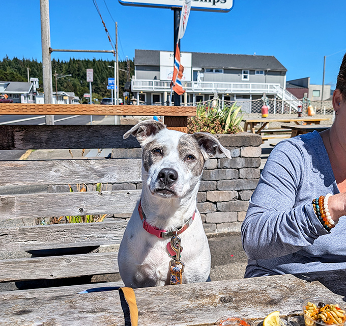 Even four-legged friends appreciate the outdoor seating at The Crazy Norwegian's, though they're probably hoping you'll share those famous fish and chips.