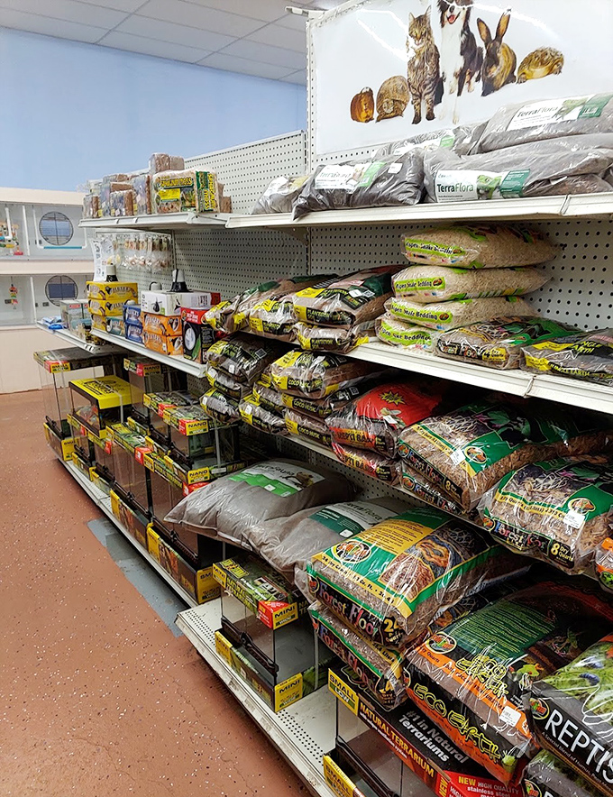 Pet supplies galore for your furry, feathered, or scaled companions. Because even your goldfish deserves the occasional upgrade.