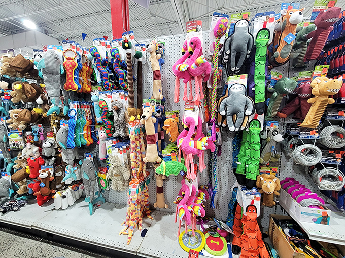 Pet toy heaven &ndash; where flamingos meet monkeys and squeaky alligators. Your dog doesn't know these cost a fraction of pet store prices, and we'll never tell.