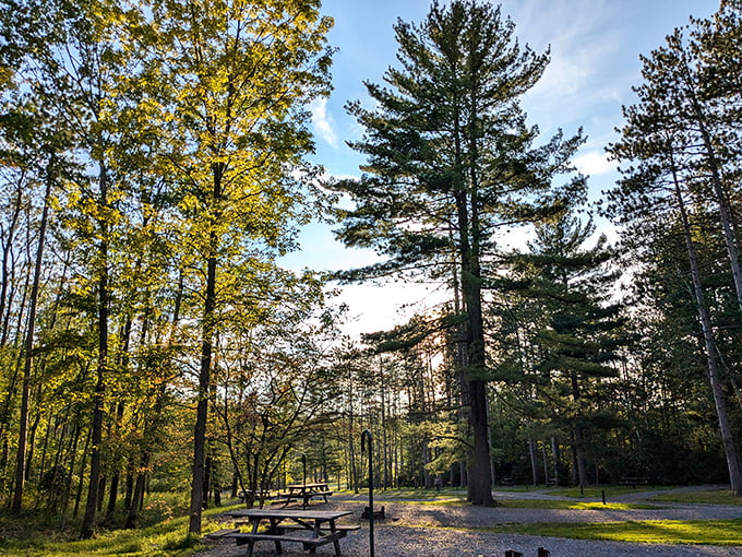 Picnic tables positioned for perfect lunchtime views &ndash; because sandwiches always taste better with a side of spectacular.