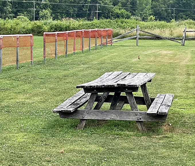 The perfect picnic spot awaits &ndash; this weathered table has hosted countless family gatherings and impromptu lunches.