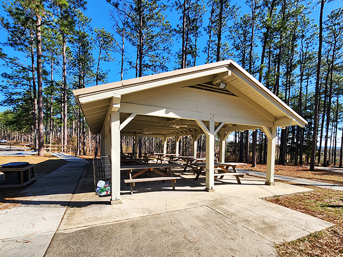 This pavilion has hosted more family reunions than Facebook, and unlike social media, the only filters here are the dappled sunlight.