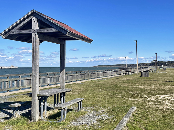Picnic perfection with a side of bay breeze. The kind of lunch spot that makes your usual desk salad seem like cruel and unusual punishment.