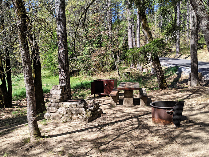Rustic picnic spots nestled among pines offer lunch with a side of serenity. The original farm-to-table dining experience, minus the hipster waiter.