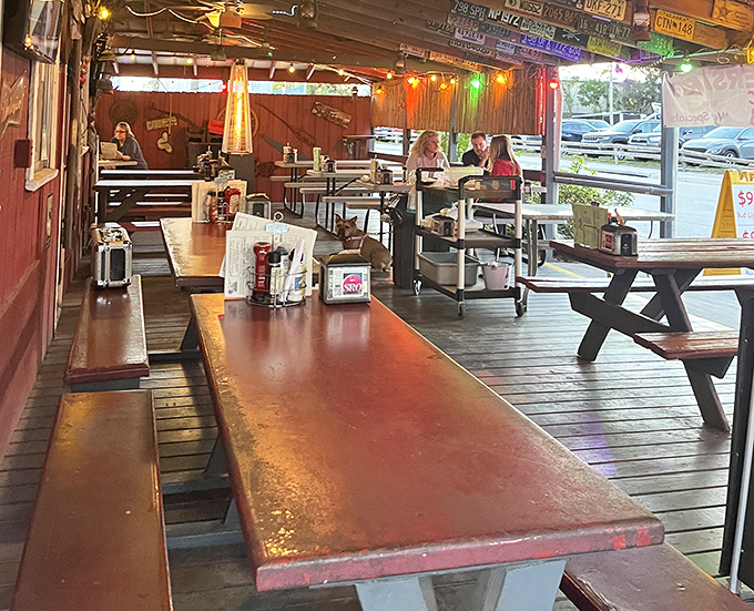 Weathered picnic tables under string lights offer the perfect setting for conversations that stretch long into evening.