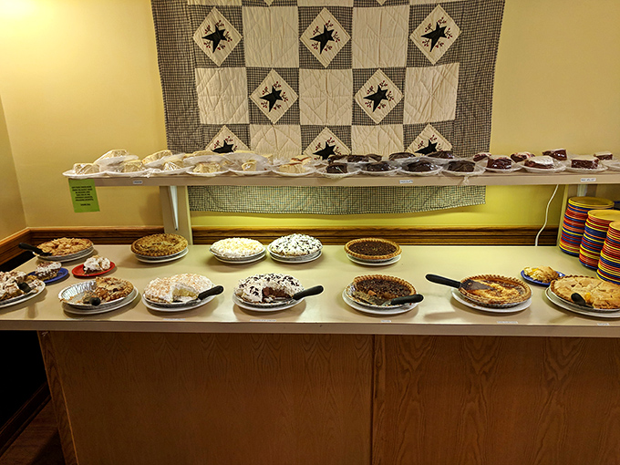 The pie display that makes grown adults press their noses against the glass like kids at a toy store window.