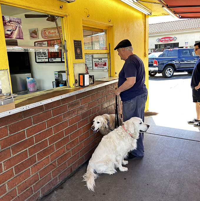 Man's best friends patiently waiting while their human orders. Even dogs know good food is worth standing in line for.
