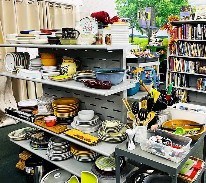 Dish paradise—where mismatched becomes "eclectic collection" and serving platters find second chances at dinner party stardom.