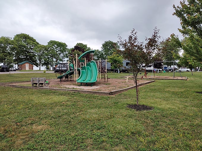 Even playground equipment looks more inviting when it's surrounded by campground greenery and the promise of Lake Erie adventures just steps away.