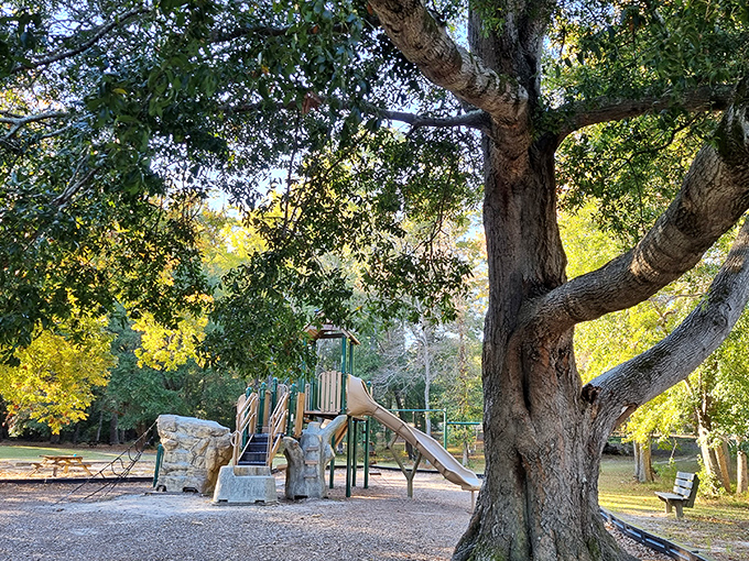 A playground where kids can burn energy while parents pretend they're not jealous of the slide. Childhood joy, no batteries required.