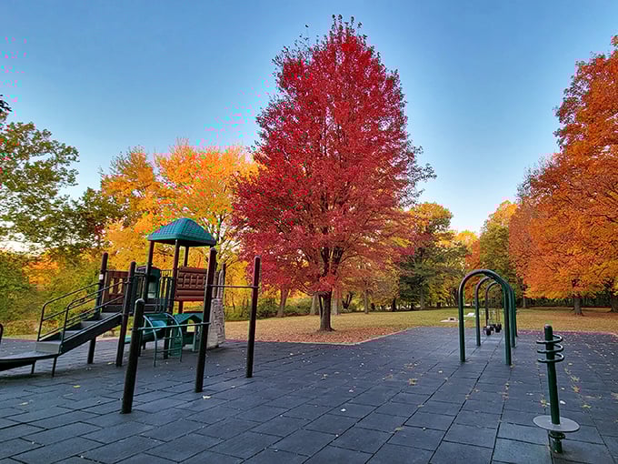 Playground equipment surrounded by nature's own entertainment system &ndash; tough competition for manufactured fun.