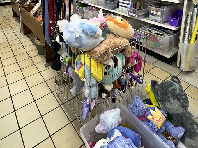 Stuffed animal adoption center! These cuddly creatures are looking for forever homes at prices that make both kids and parents smile.