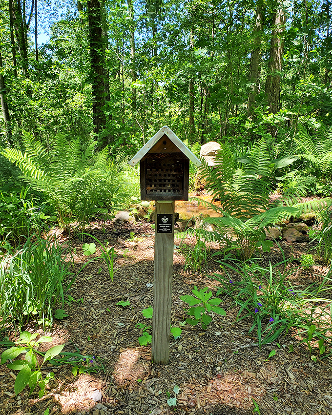 Not your average birdhouse! This carefully designed pollinator habitat shows Jennings' commitment to supporting the tiny creatures that keep our ecosystems thriving.