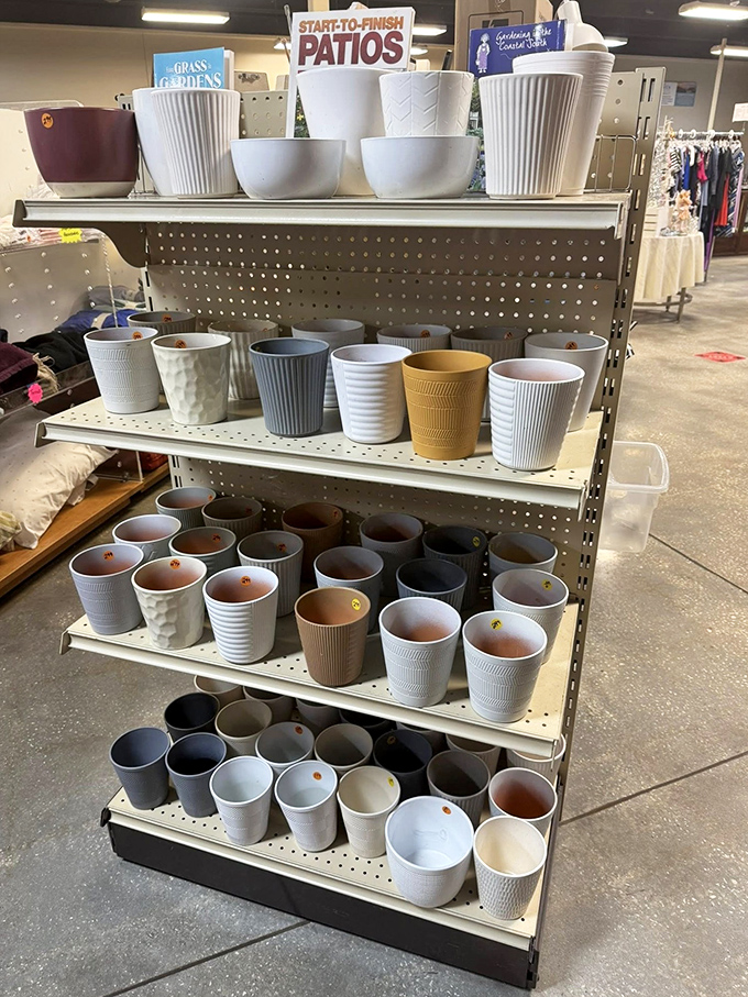Garden dreams start here with rows of planters in every shape and size&mdash;perfect for Florida patios and sunrooms year-round.
