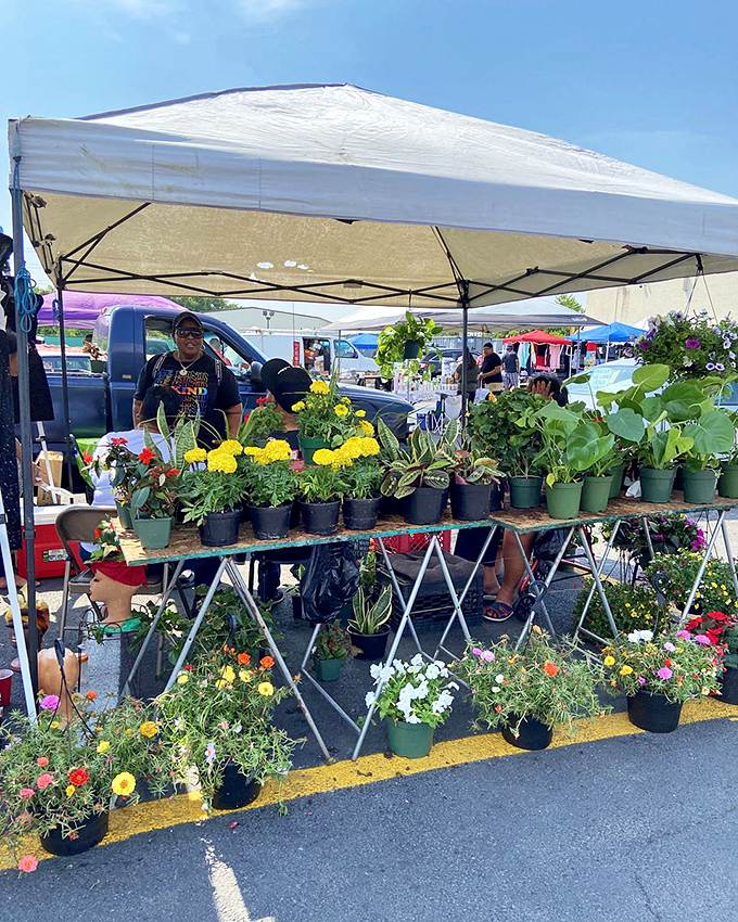 Fresh plants bring garden center variety to flea market prices, nurturing green thumbs and tight budgets.
