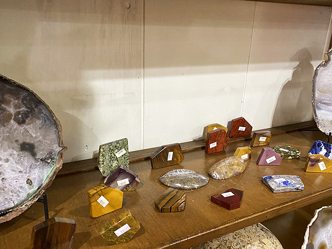 The gift shop's geological treasures: polished stones and crystals display Earth's hidden palette of colors, each with its own mineral story.
