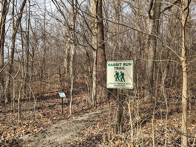 Rabbit Run Trail beckons hikers with promises of woodland discoveries and the occasional cardio challenge.