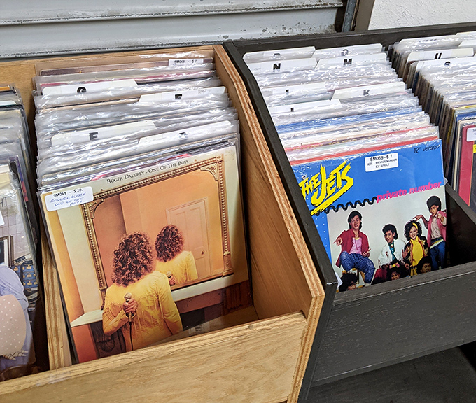 Vinyl records filed with care&mdash;because some music deserves better than being reduced to a digital file on your phone.