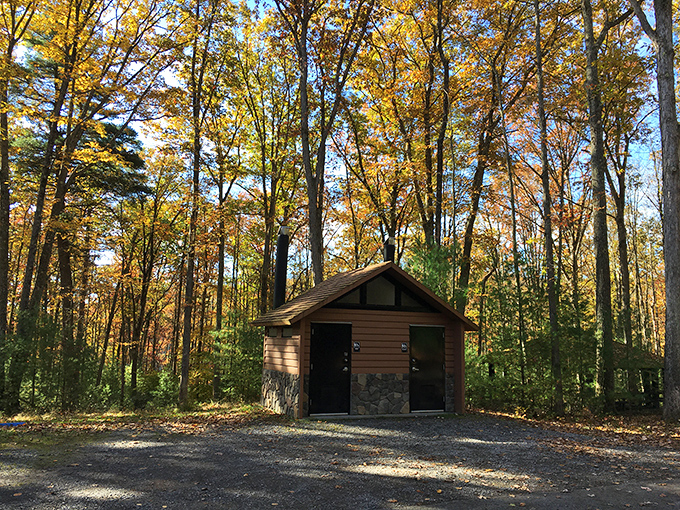 Even the restrooms at Colton Point embrace rustic charm, nestled among fall foliage like they grew there naturally.