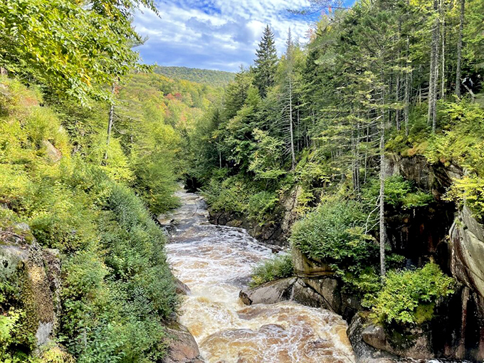 The Pemigewasset River carving its legacy through rock and forest. Water always wins the patience game, reshaping landscapes one ripple at a time.