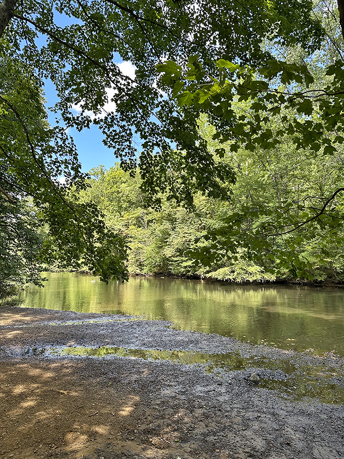 The Clear Fork River glides through Mohican like nature's highway, reflecting sky and trees in a mirror that's been polished by time itself.