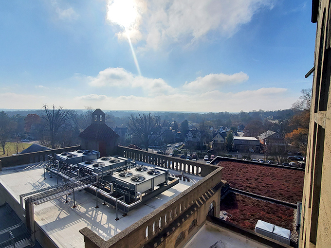 The view from the Mercer's rooftop offers a perspective on Doylestown that few get to experience&mdash;unless you're a very historically-minded pigeon.