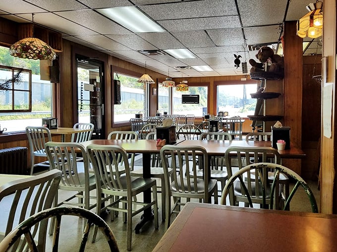 A dining room where conversations matter more than Instagram opportunities. Those metal chairs have supported the weight of countless happy customers and their satisfied sighs.