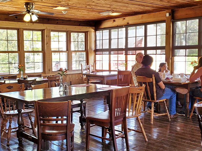 Sunlight streams through windows like nature's spotlight on these wooden tables. Each chair has supported generations of satisfied diners.
