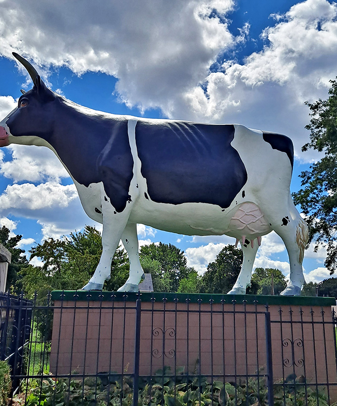 Dramatic clouds provide the perfect backdrop for this dairy diva. Wisconsin's answer to Mount Rushmore, just with more milk production.
