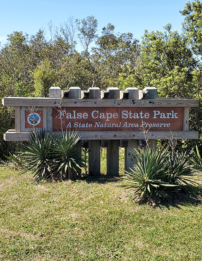 The entrance sign promises adventure beyond its wooden frame. Like all good hosts, it sets expectations: prepare to be amazed.